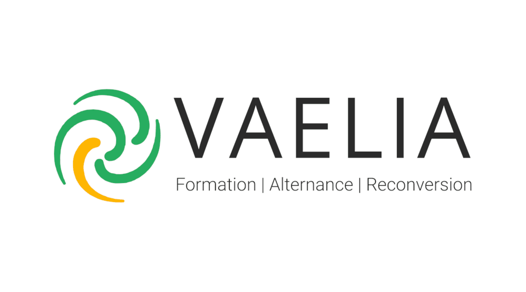 Vaelia - Le management par les couleurs